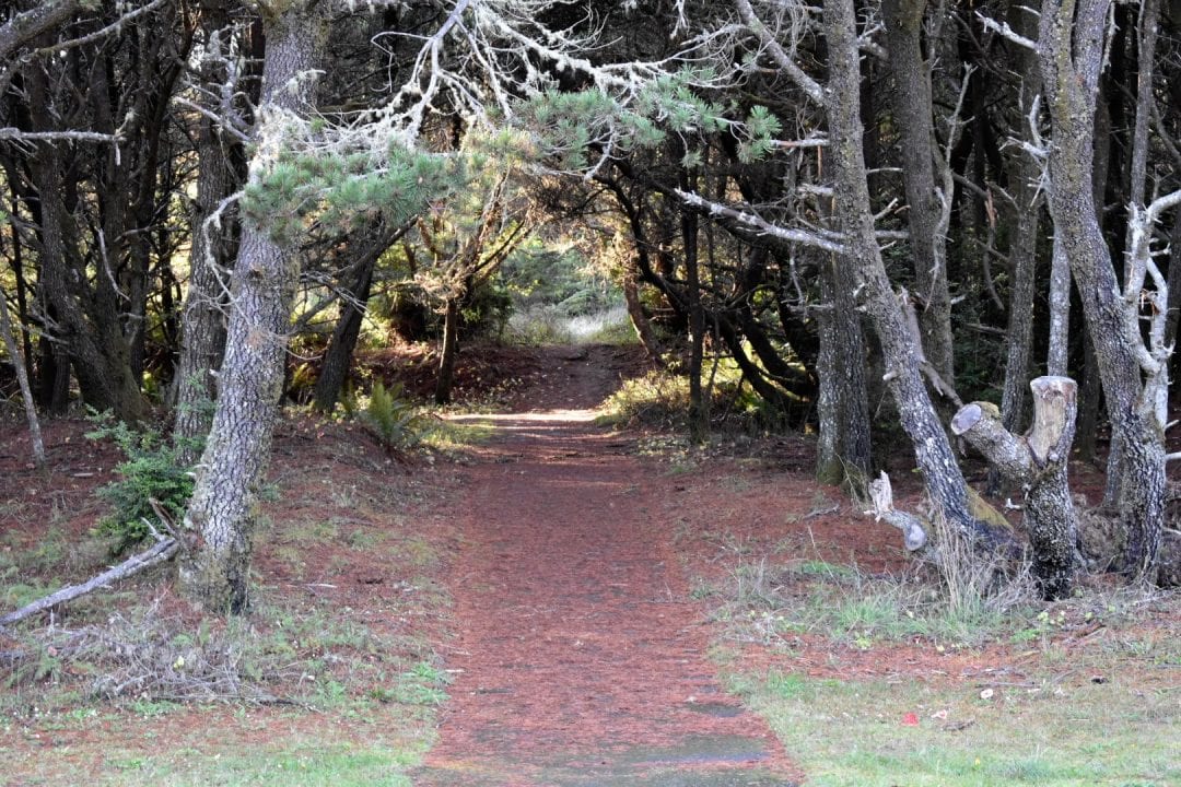 Long Beach Washington: State Parks on Long Beach Peninsula