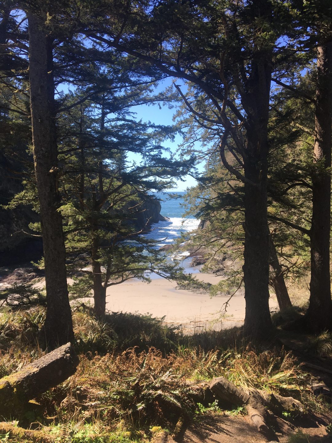 Explore the Washington Coast on the Long Beach Peninsula