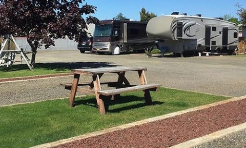 Long Beach WA Camping and RV Parks: Experience the Outdoors