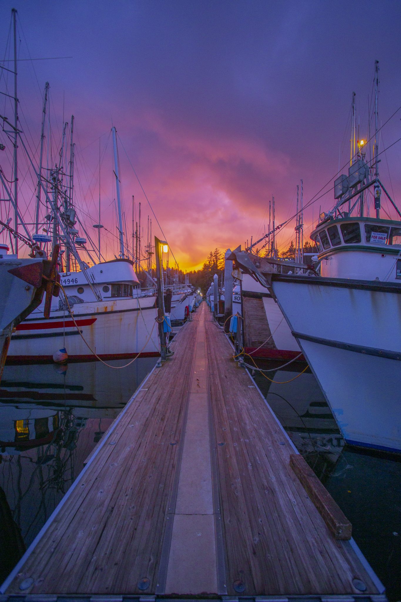 Discover the Irresistible Art Scene in Ilwaco's Coastal Charm