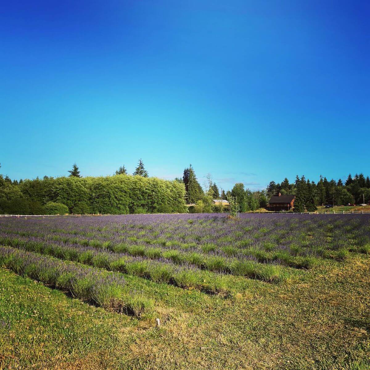 Everybody Loves Raymond: Fun Things to Do in Raymond, WA