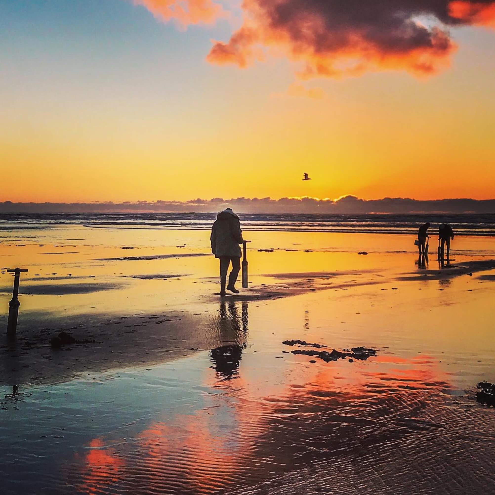 Bucket List Activity: Razor Clam Digging in Pacific County