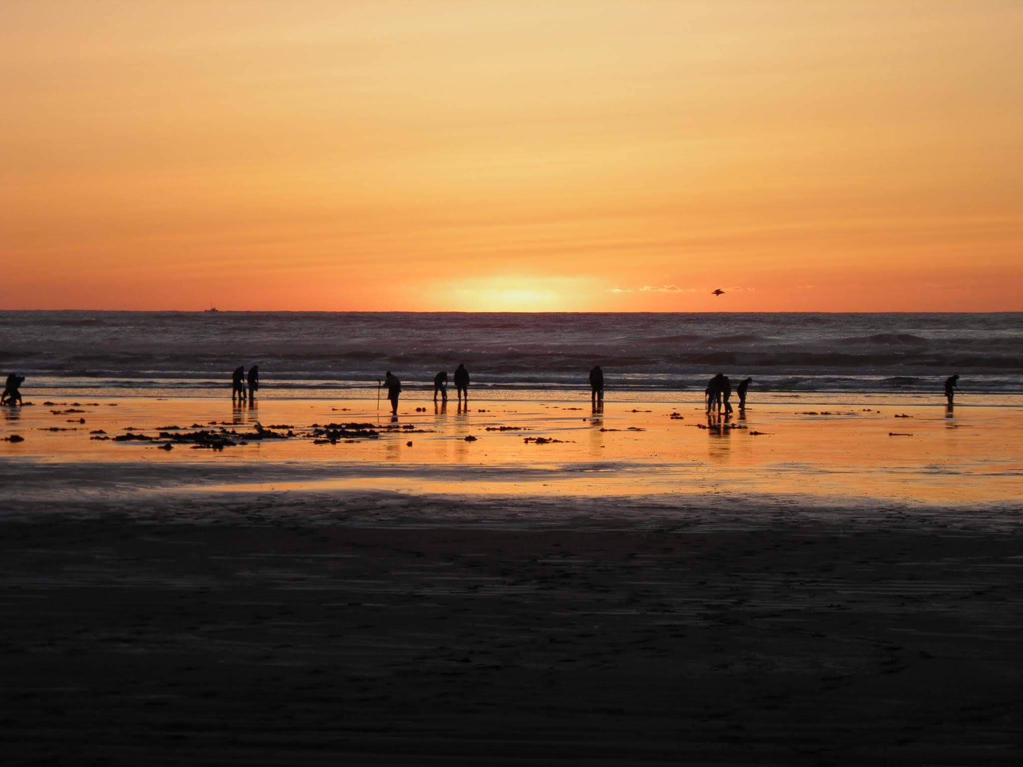 Bucket List Activity: Razor Clam Digging in Pacific County
