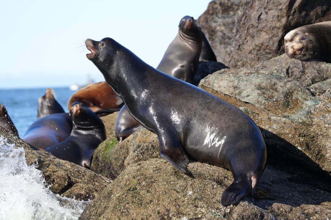 7 Benefits of a Coastal Visit