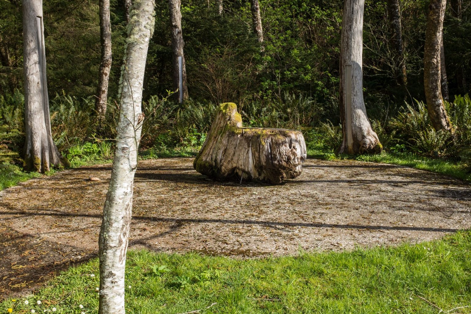 Treasure Hunt: Public Art in Pacific County