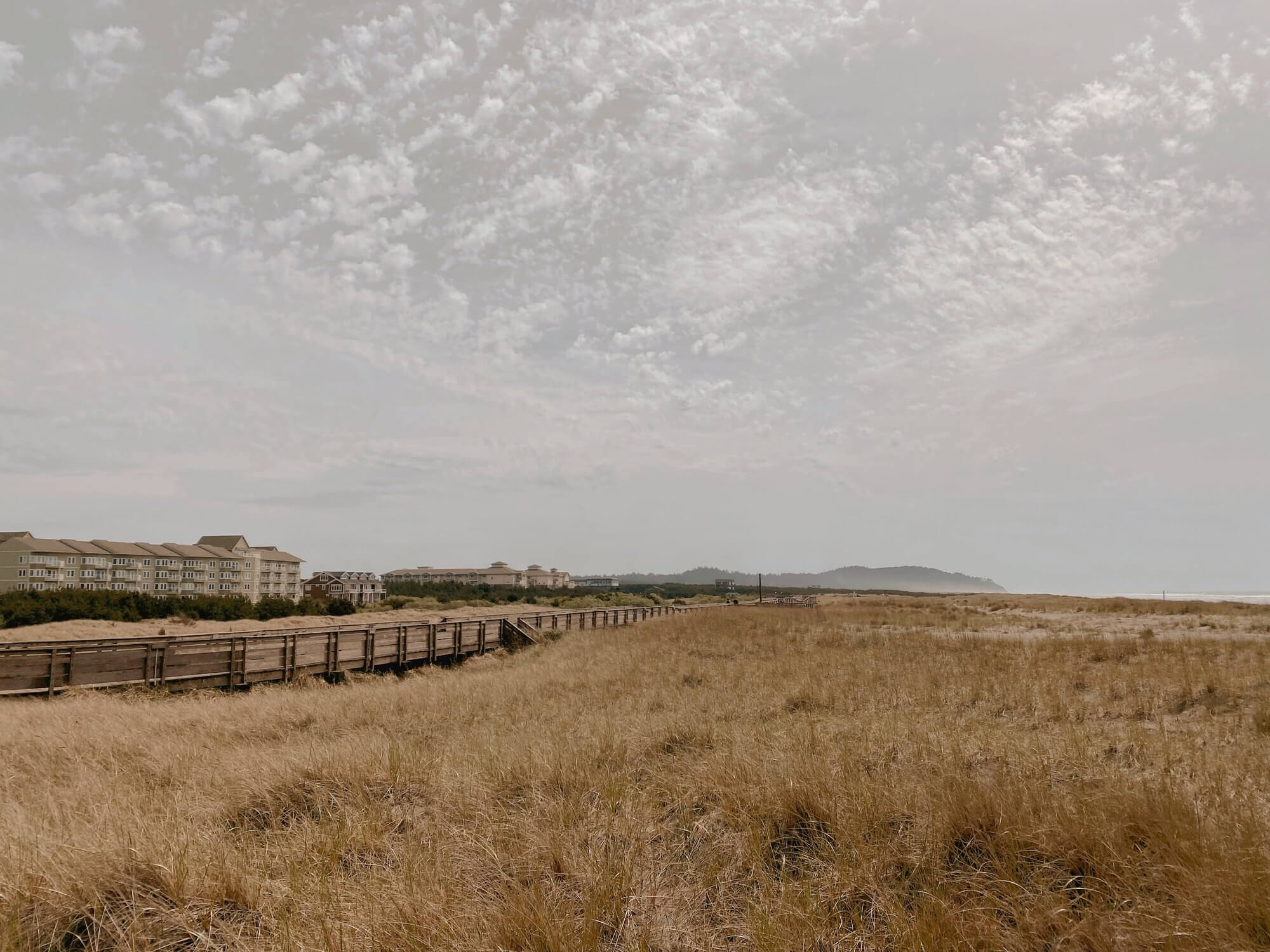 Road Trip through Washington: Discover Pacific County