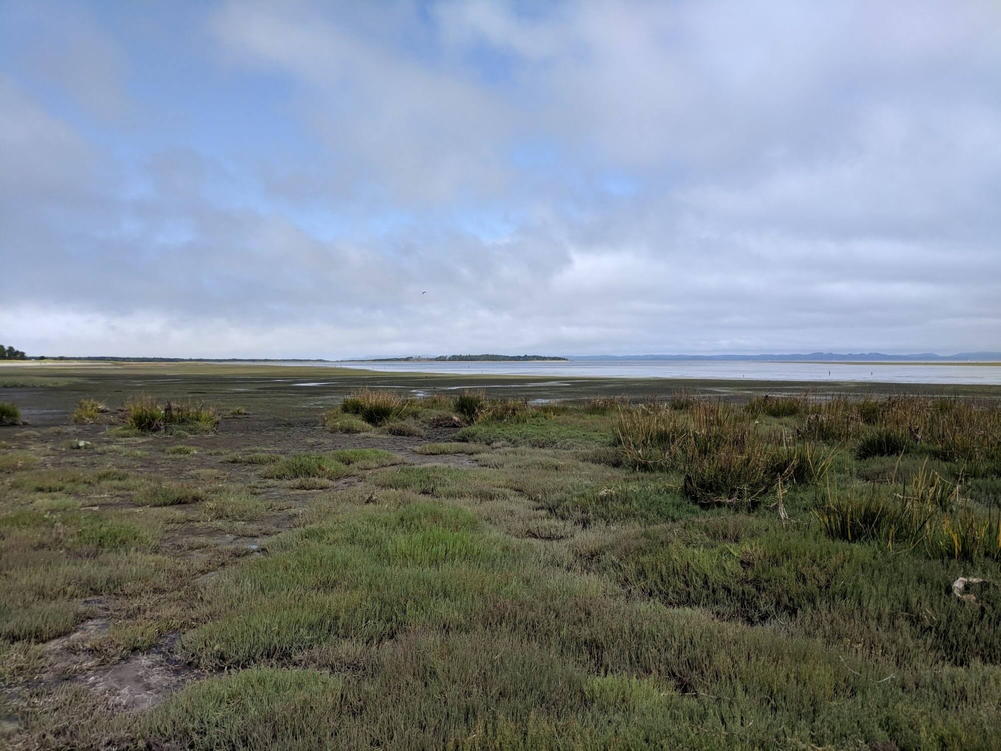 Top Things to Do with Kids | Washington's Evergreen Coast