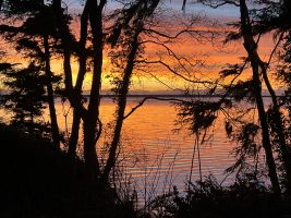 Bay Center | Washington's Evergreen Coast