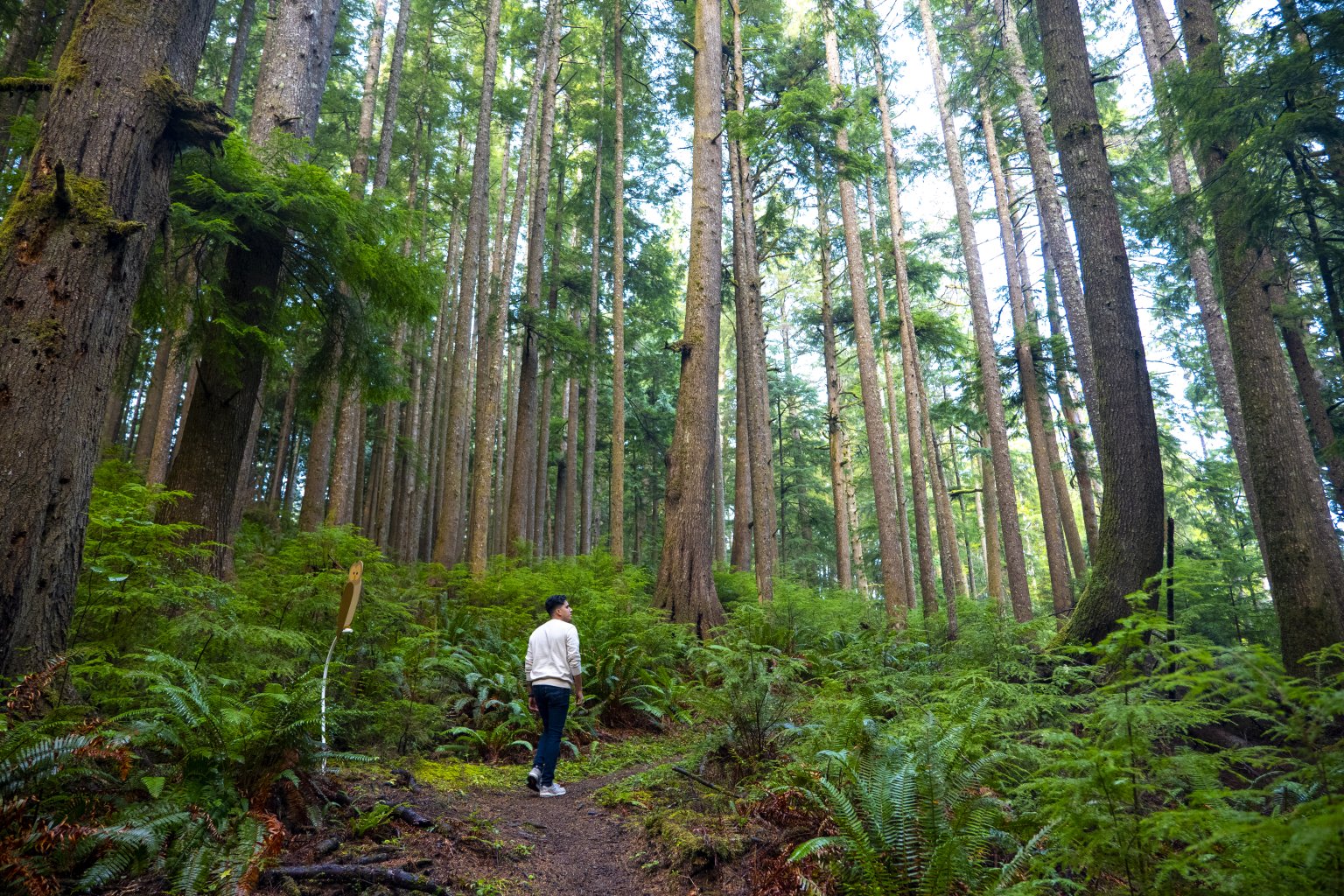 Willapa National Wildlife Refuge: A Complete Guide to Washington’s ...