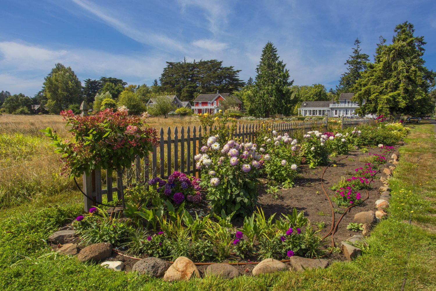Oysterville | Washington's Evergreen Coast