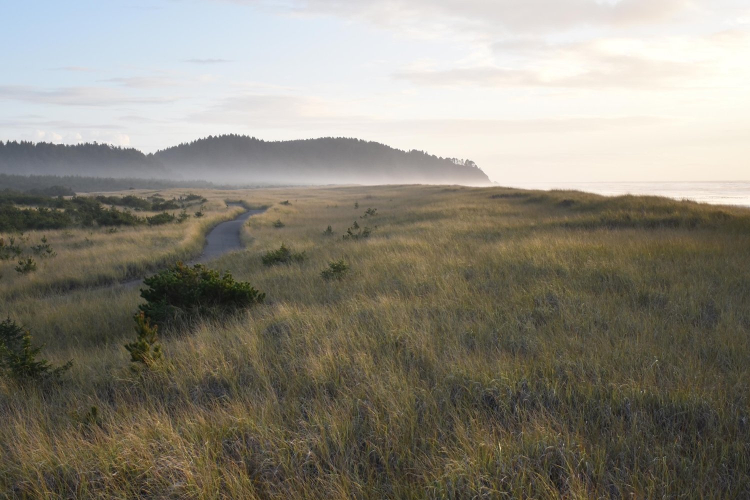 Seaview | Washington's Evergreen Coast