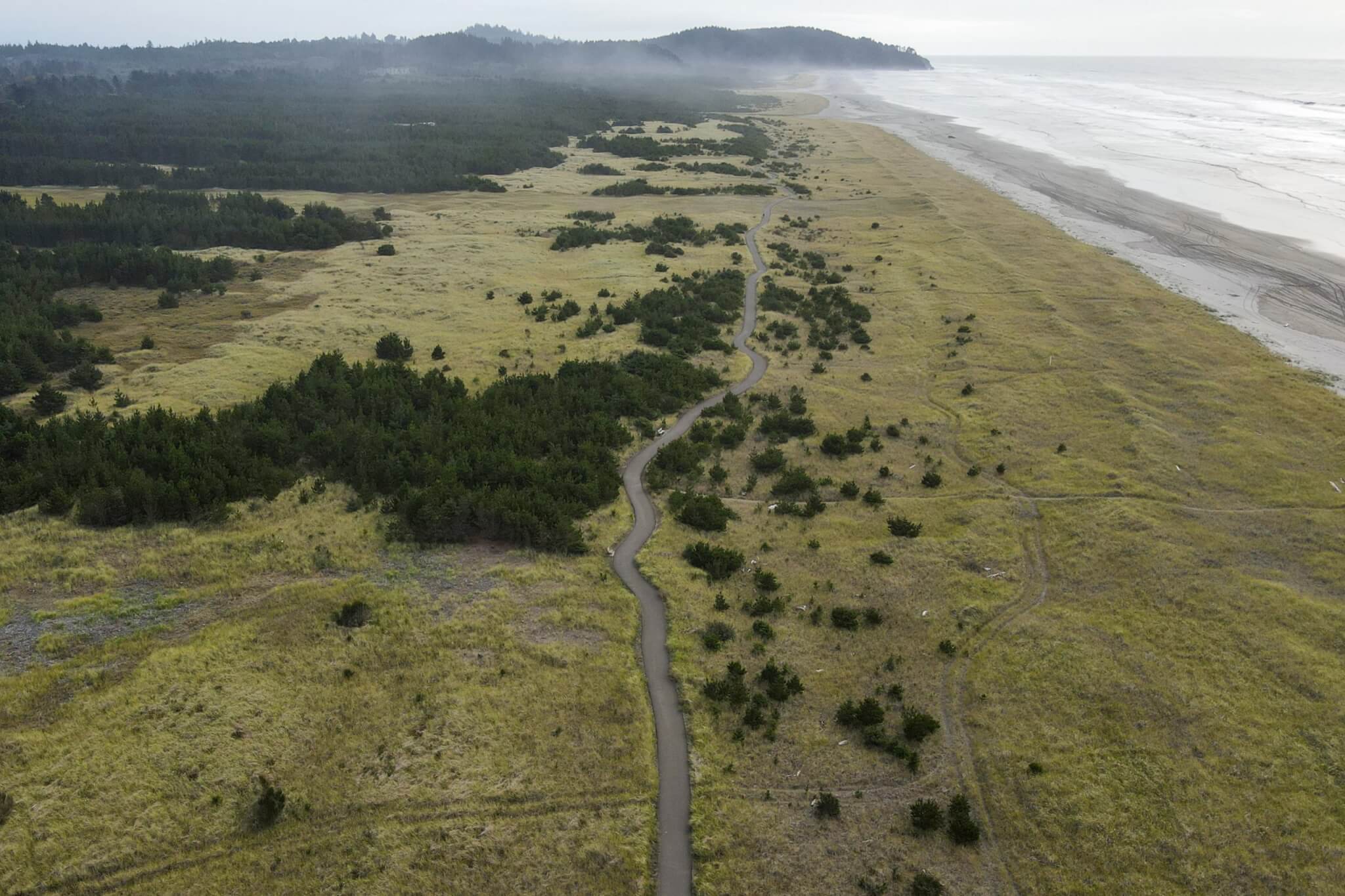 Razor Clam and Shellfish Festival in Long Beach, WA