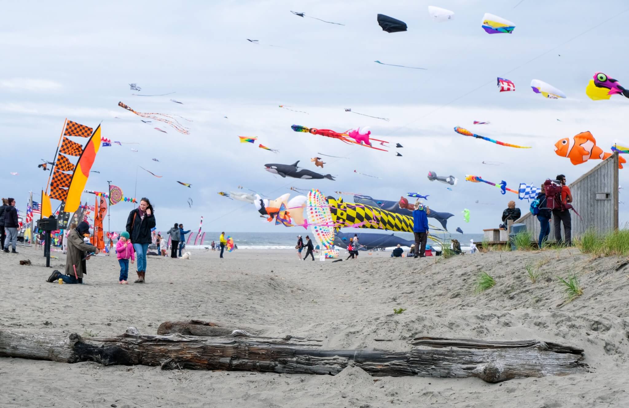 Washington State International Kite Festival 2025 | Long Beach, WA