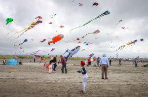 Washington State International Kite Festival 2025 | Long Beach, WA