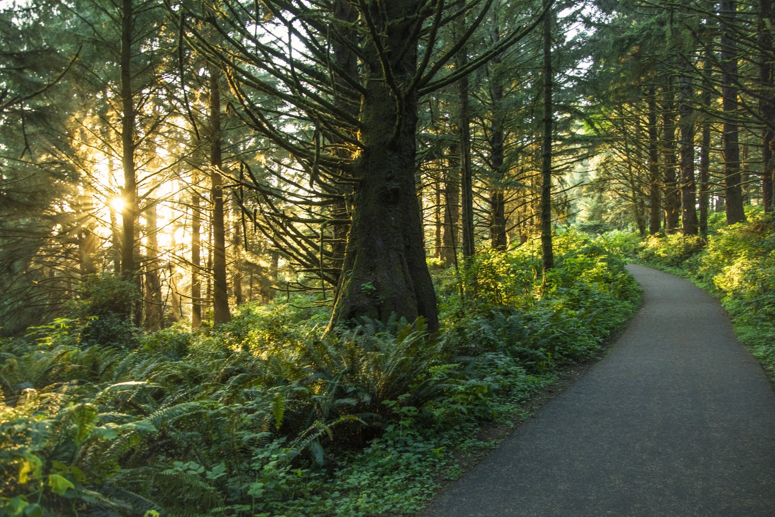 Summer Events on Washington’s Evergreen Coast 2025 | Festivals, Music ...
