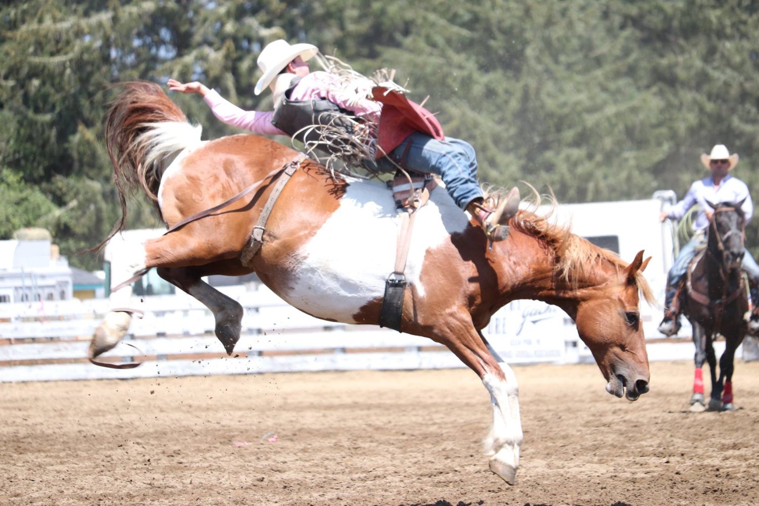 Long Beach Rodeo 2025: A Western Tradition on Washington’s Evergreen Coast