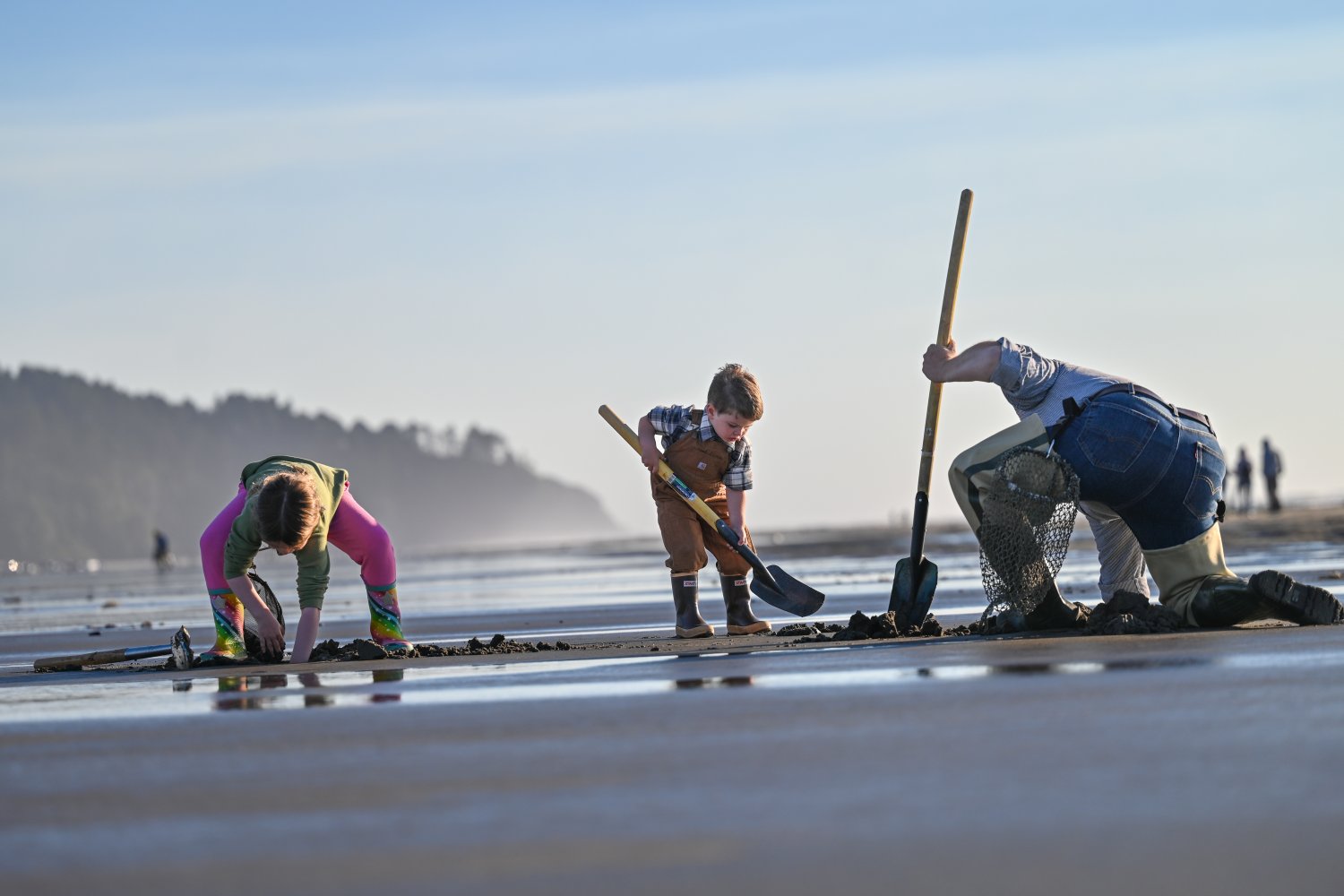 Razor Clam Digging on Washington’s Evergreen Coast